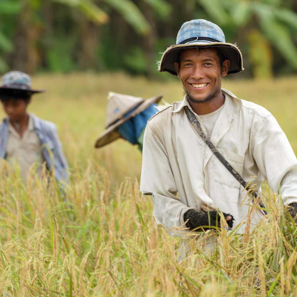 FAO Roadmap | SDG2 Advocacy Hub