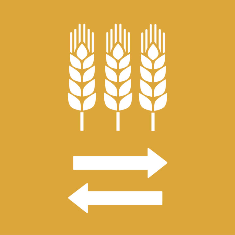 The Global Goals and SDG2 | SDG2 Advocacy Hub