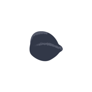 All About Beans | SDG2 Advocacy Hub