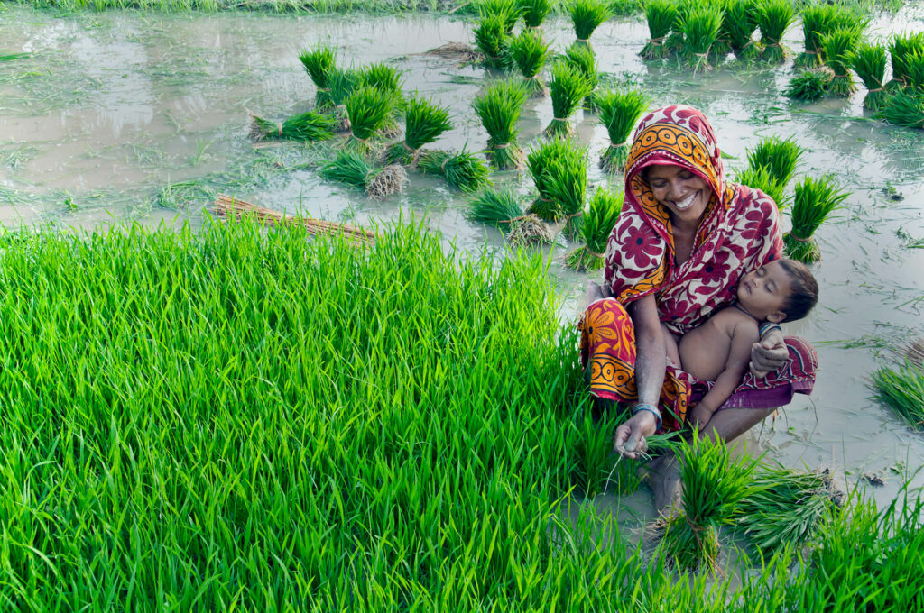 SDG2 Targets | SDG2 Advocacy Hub