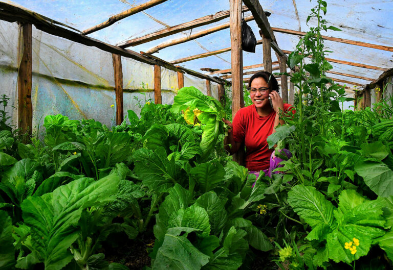 SDG2 Targets | SDG2 Advocacy Hub