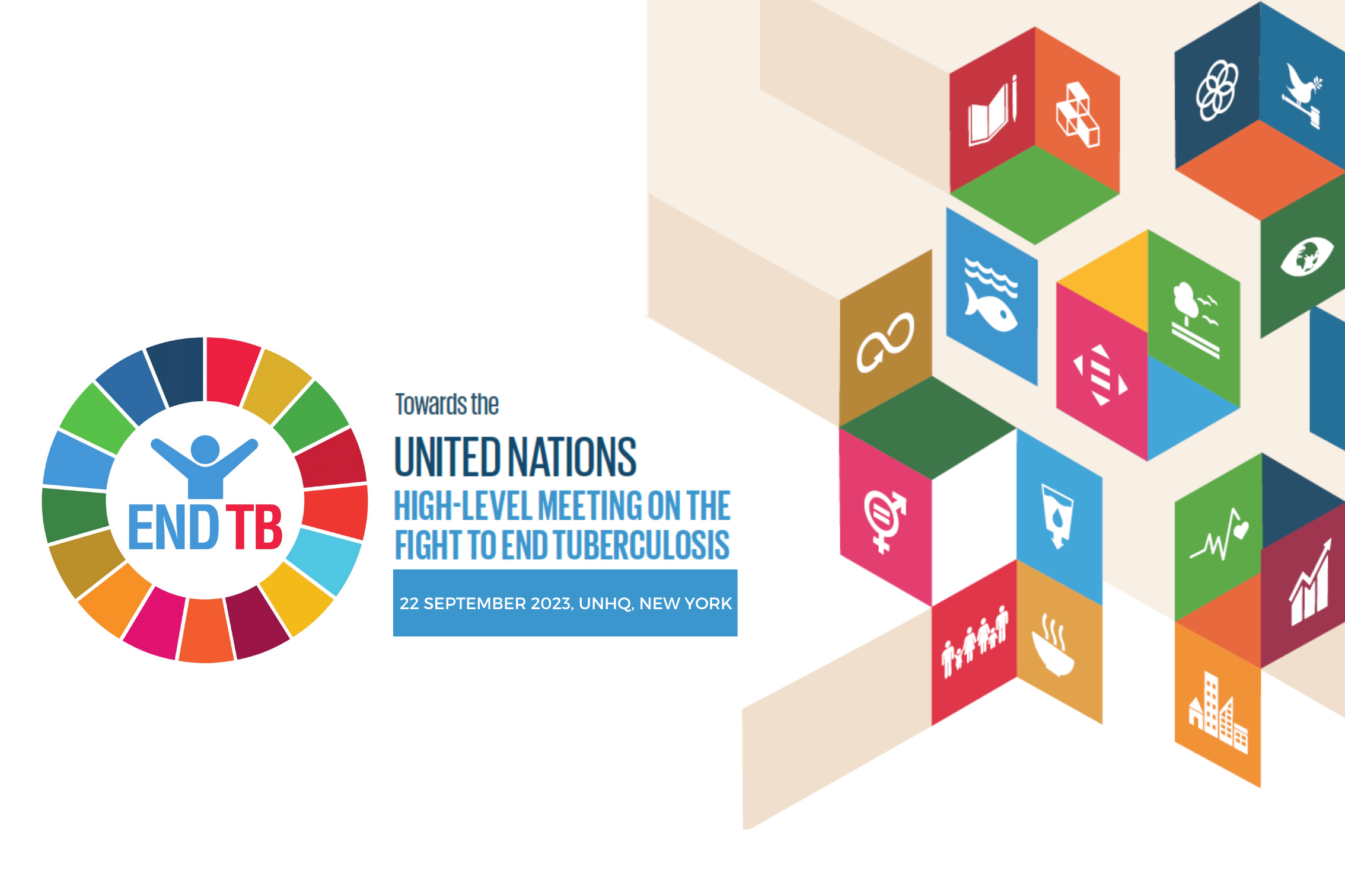 High-level Meeting on Tuberculosis | SDG2 Advocacy Hub