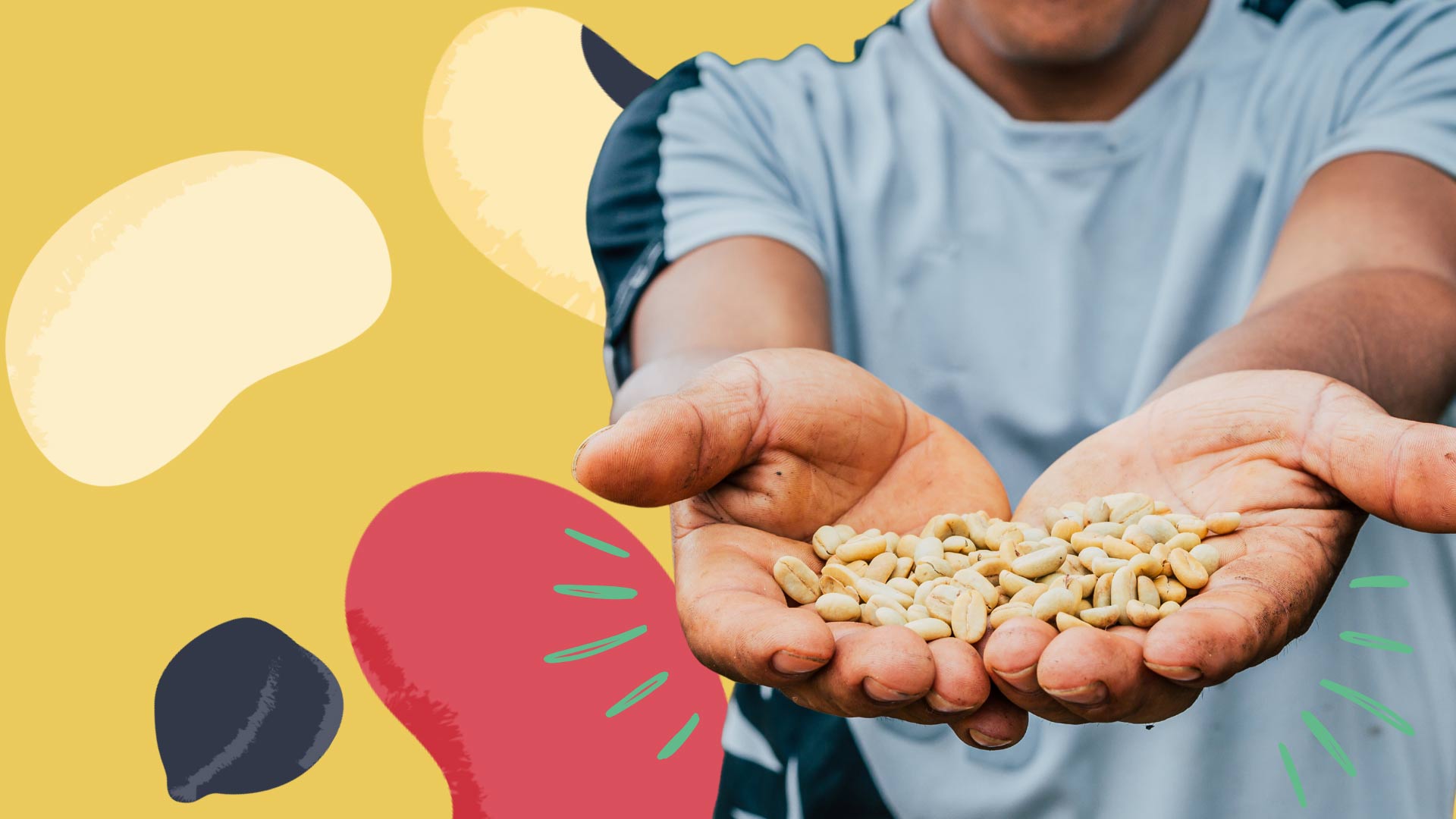 Grow More Beans | SDG2 Advocacy Hub