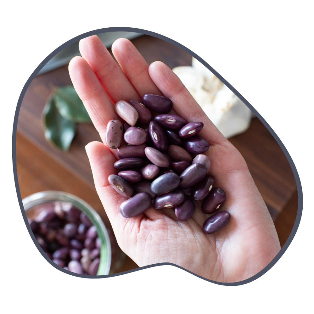 How its bordertown and agricultural roots are driving Primary Beans ...