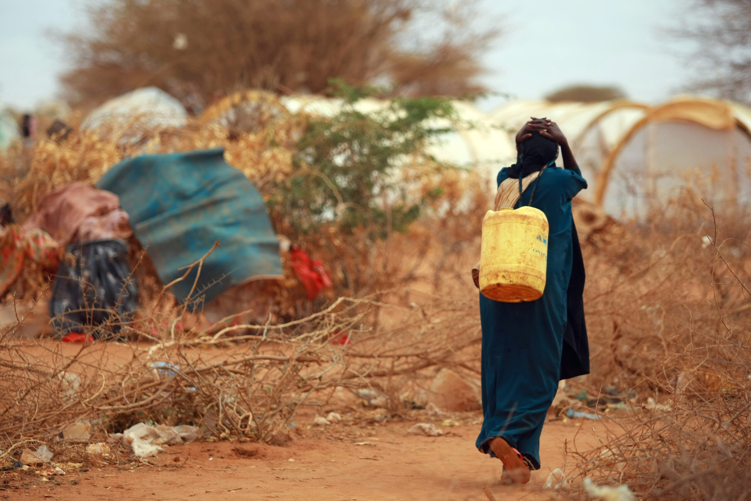 UNSC discusses conflict-induced hunger | SDG2 Advocacy Hub