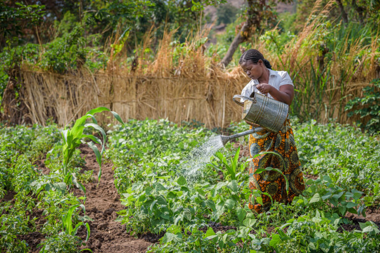SDG2 Advocacy Hub | Bringing people together to achieve SDG2: Zero Hunger