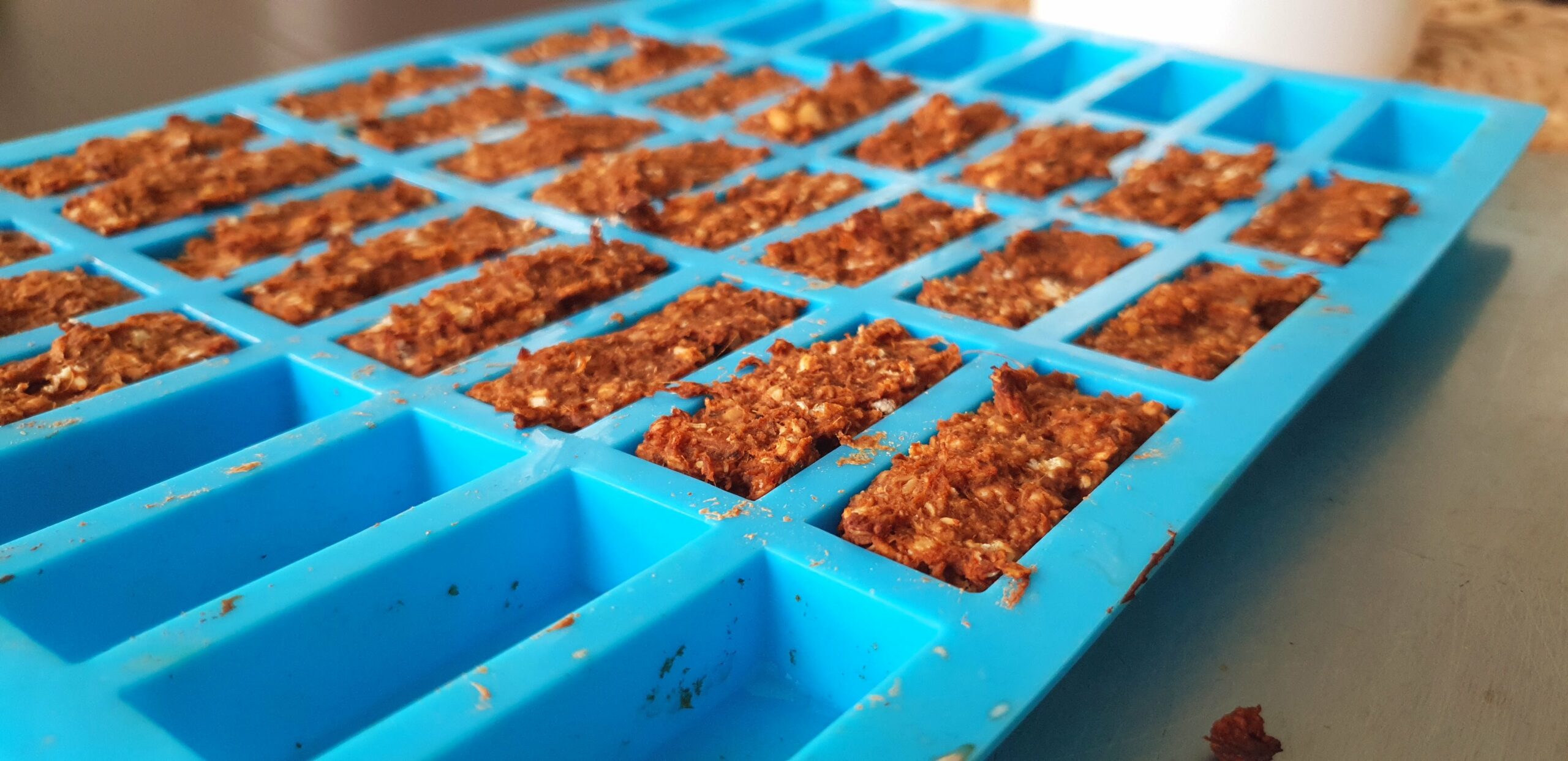 Seedy Bean Bars | SDG2 Advocacy Hub