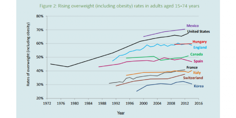 Hunger & obesity: the paradoxes of our food system | SDG2 Advocacy Hub