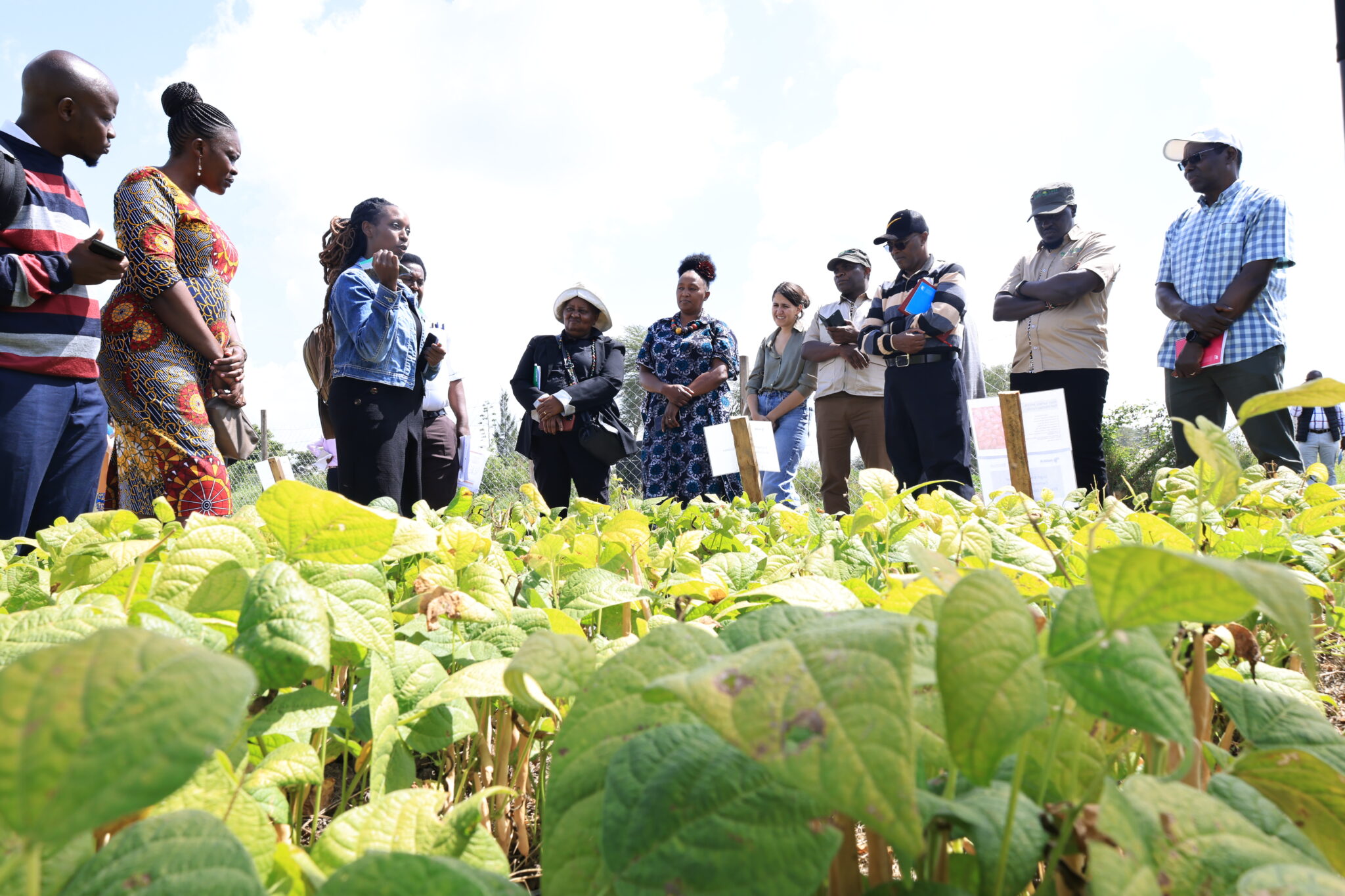 SDG2 Advocacy Hub | Bringing people together to achieve SDG2: Zero Hunger