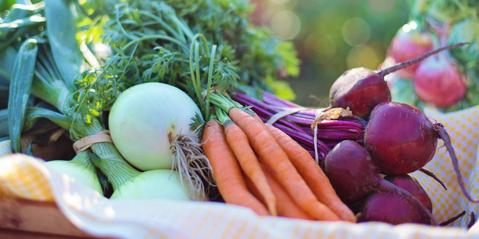 SDG2 Advocacy Hub | Bringing people together to achieve SDG2: Zero Hunger