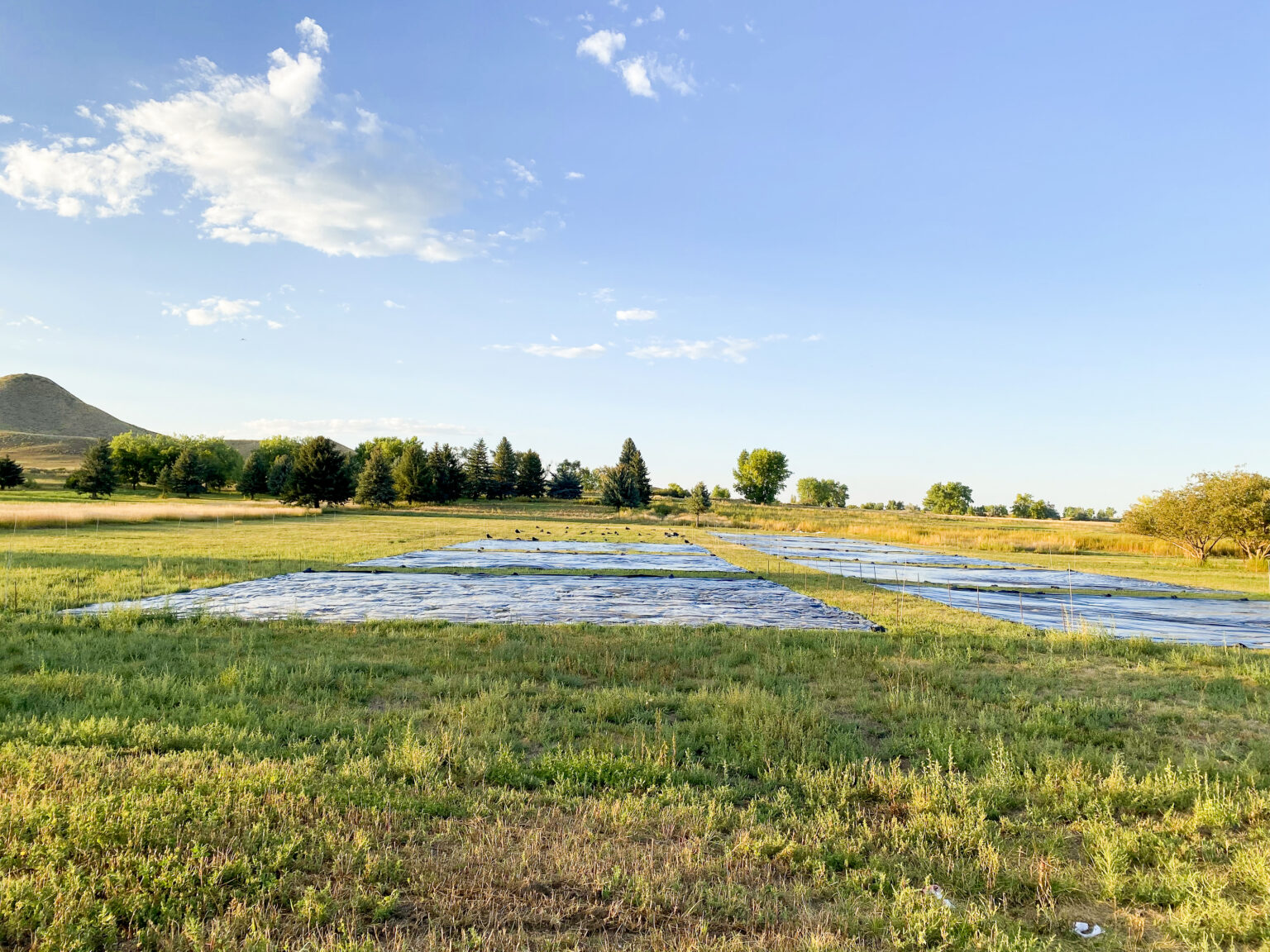 How the Zero Foodprint Restore Grant funds practices that protect ...