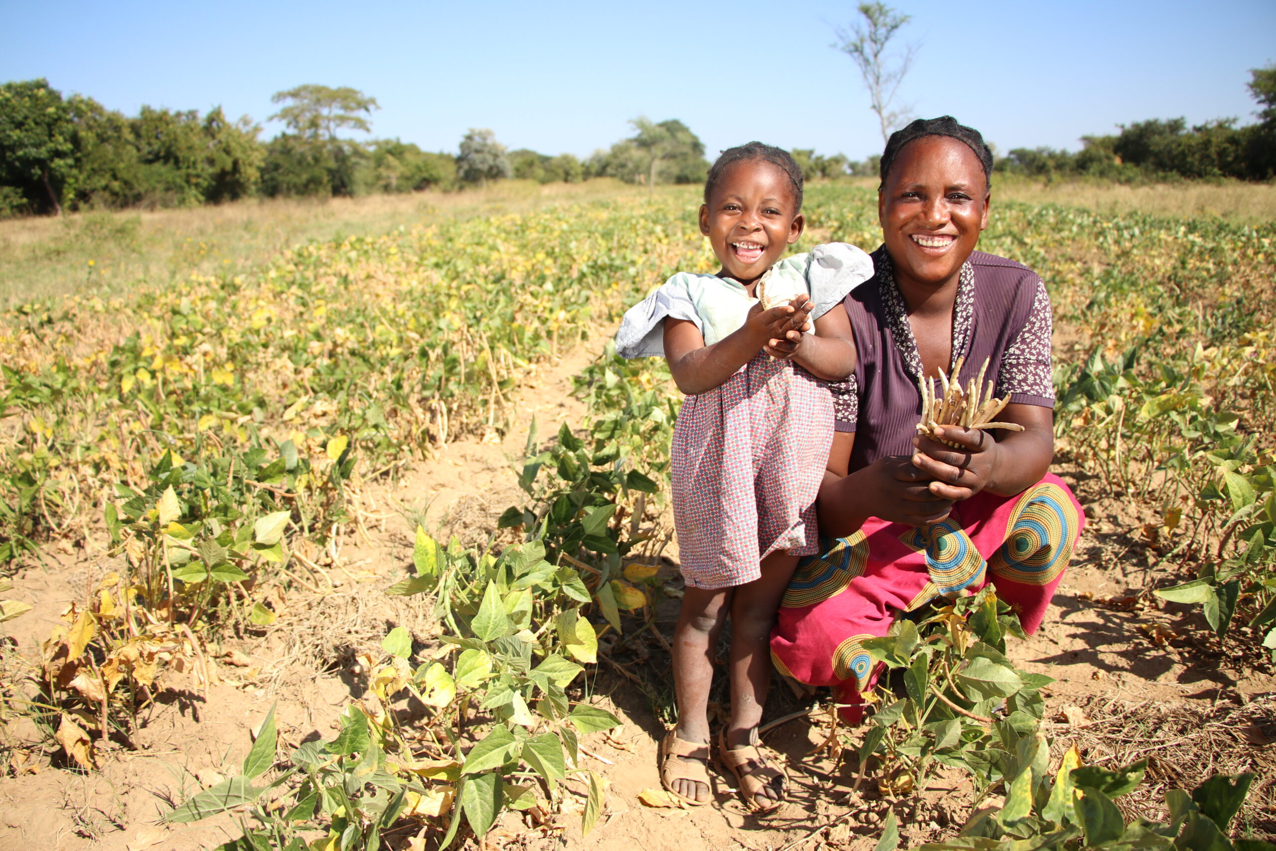 Global Nutrition Financing Research Report – Insights and ...