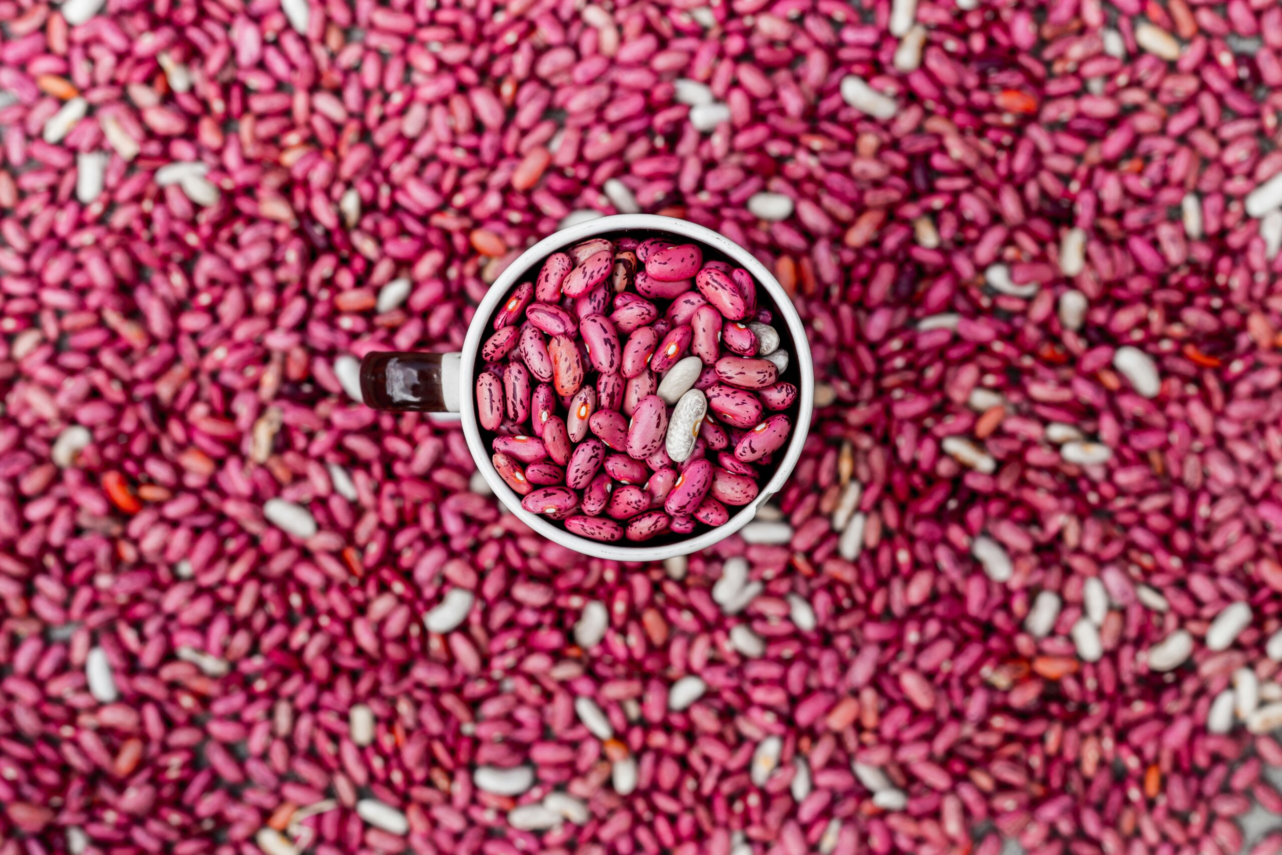 Beans in Taiwan: Updated Dietary Guidelines | SDG2 Advocacy Hub
